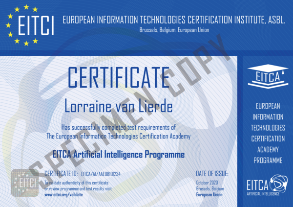 EITCA/AI Artificial Intelligence Academy - EITCA Academy